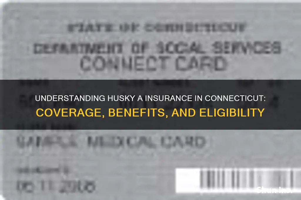 Understanding Husky A Insurance In Connecticut: Coverage, Benefits, And ...