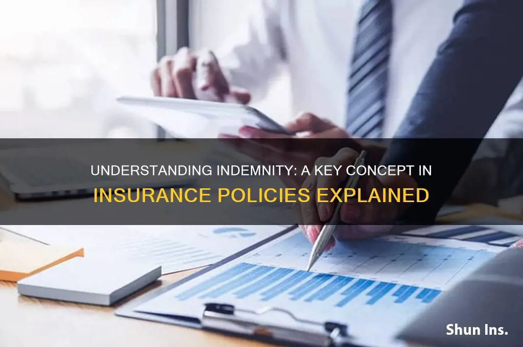 Understanding Indemnity: A Key Concept In Insurance Policies Explained ...