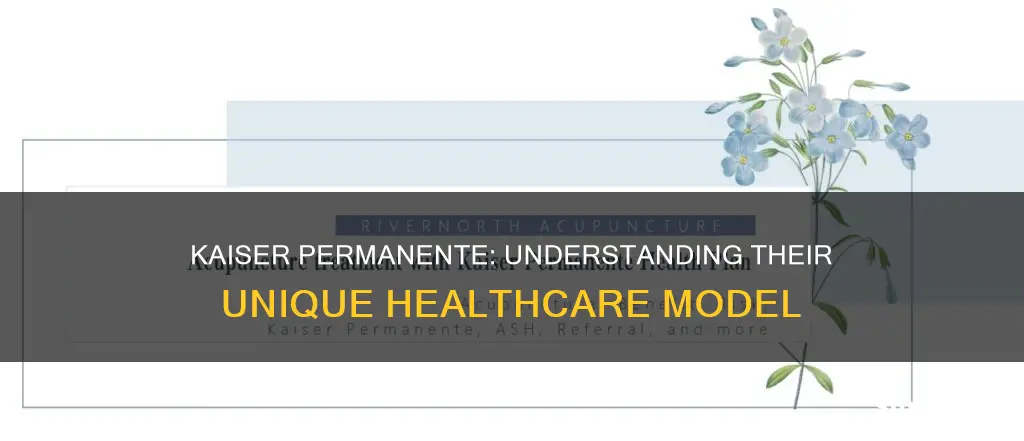 Kaiser Permanente: Understanding Their Unique Healthcare Model | ShunIns