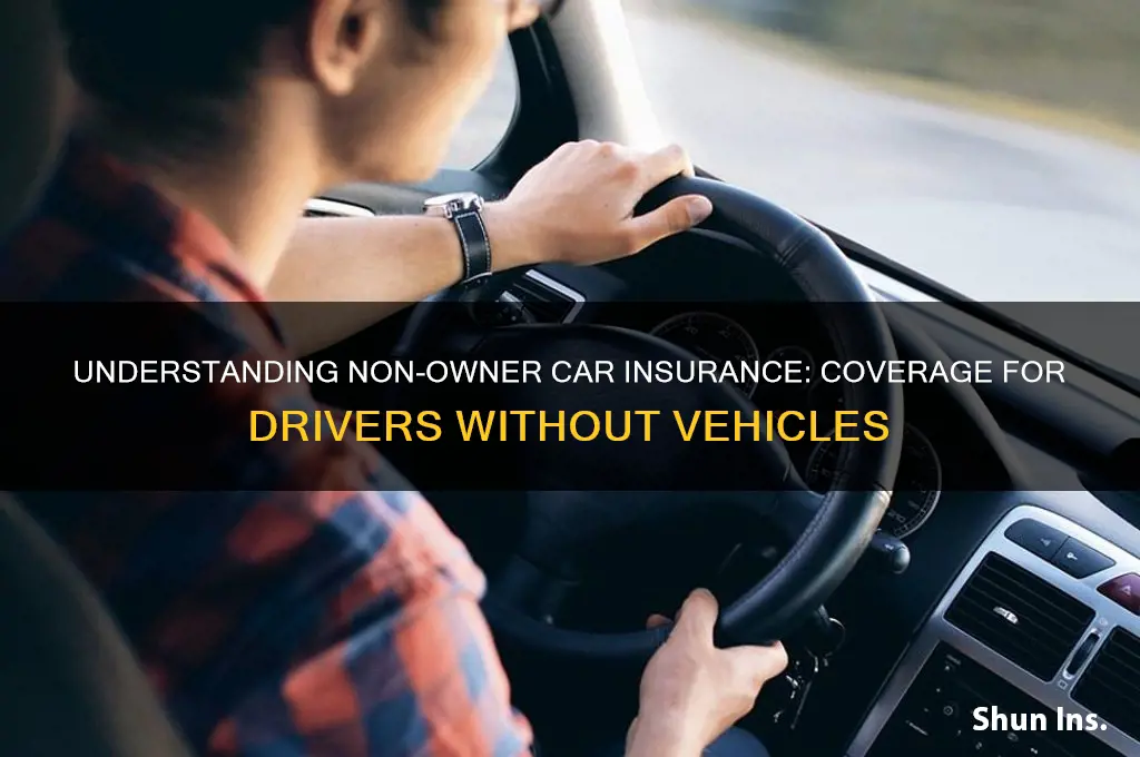 Understanding Non-Owner Car Insurance: Coverage For Drivers Without ...