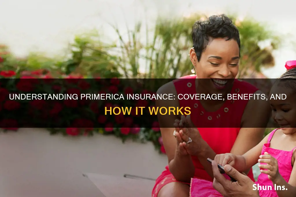 Understanding Primerica Insurance: Coverage, Benefits, And How It Works ...