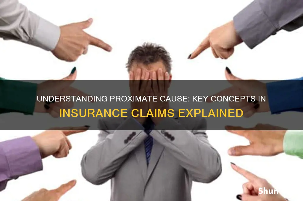 Understanding Proximate Cause Key Concepts In Insurance Claims