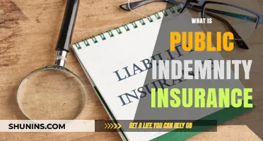 Understanding Ppi Insurance: Definition, Benefits, And How It Works ...