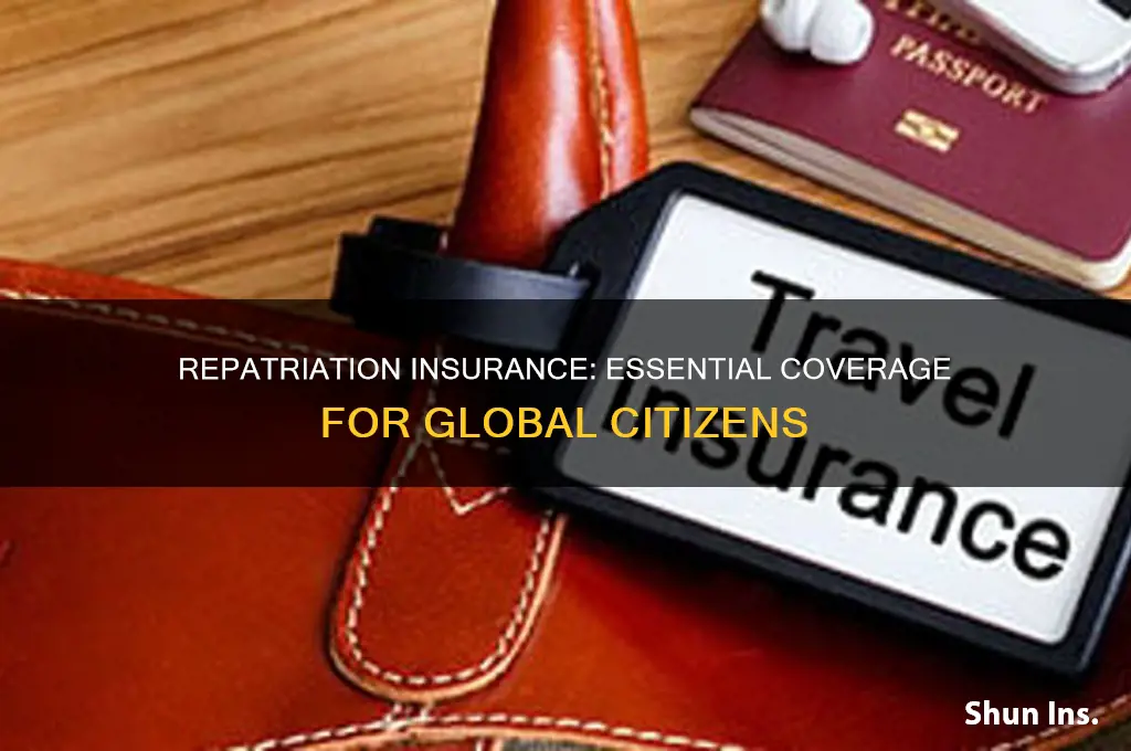 Repatriation Insurance: Essential Coverage For Global Citizens | ShunIns