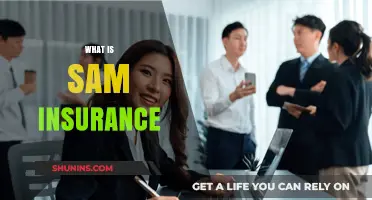 Understanding Sir In Insurance: A Comprehensive Guide To Self-Insured ...