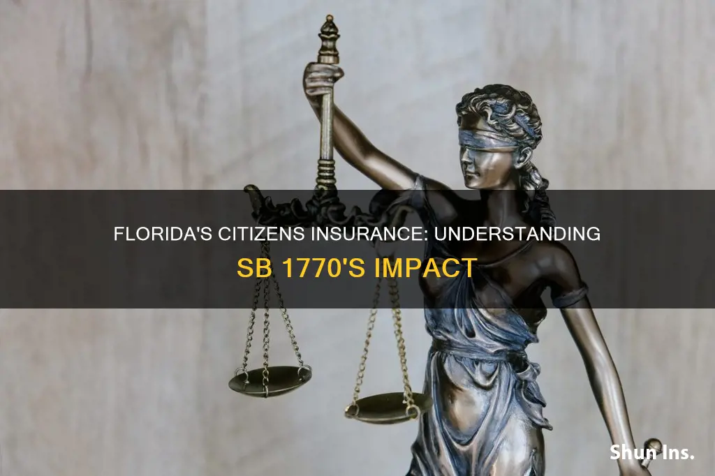 Florida's Citizens Insurance: Understanding Sb 1770'S Impact | ShunIns