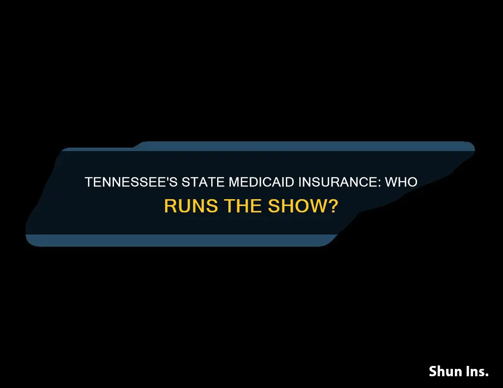Tennessee's State Medicaid Insurance: Who Runs The Show? | ShunIns