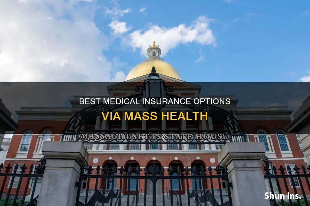 Best Medical Insurance Options Via Mass Health | ShunIns
