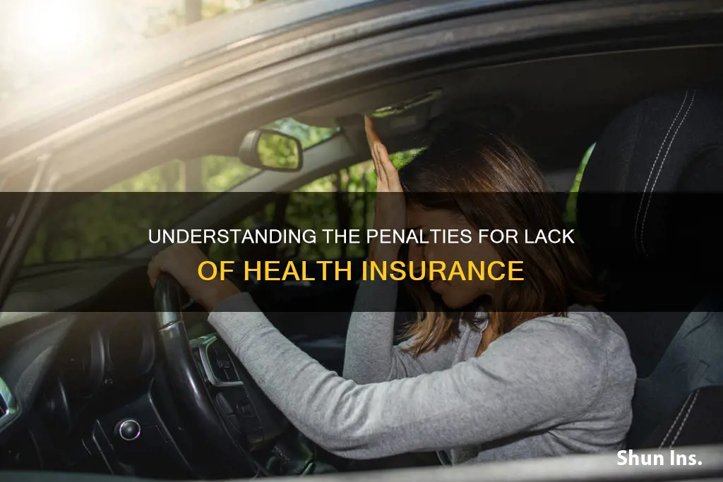 Understanding The Penalties For Lack Of Health Insurance | ShunIns
