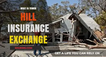Understanding Siu In Insurance: Role, Importance, And Impact Explained ...