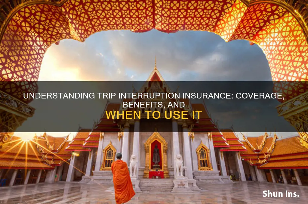 Understanding Trip Interruption Insurance: Coverage, Benefits, And When ...