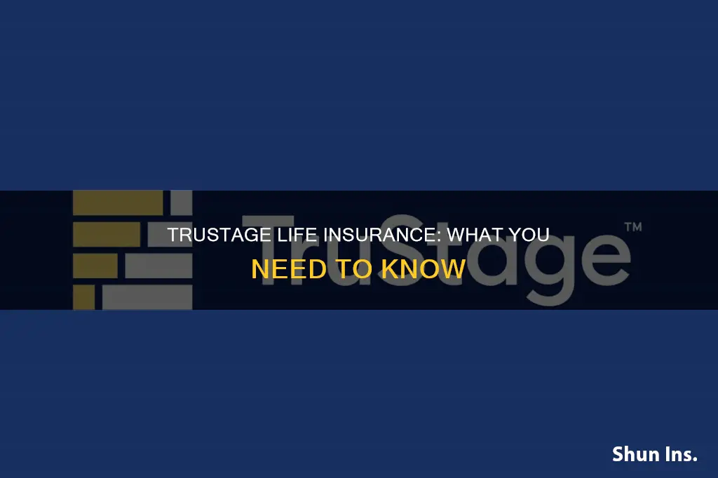 Trustage Life Insurance: What You Need To Know | ShunIns