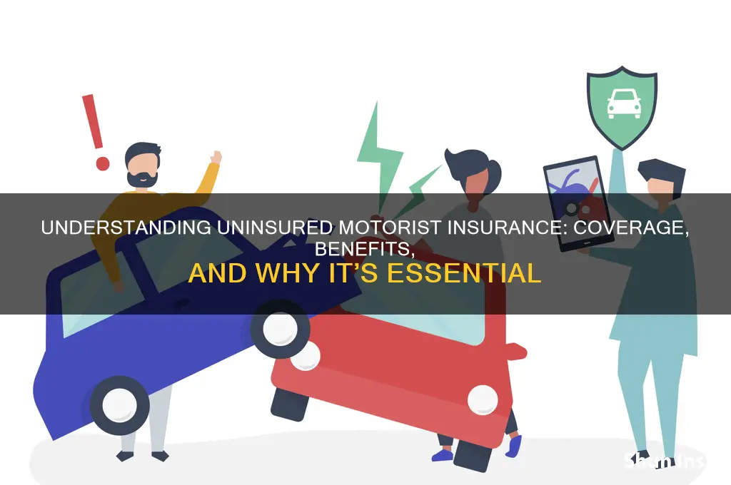 Understanding Uninsured Motorist Insurance: Coverage, Benefits, And Why ...