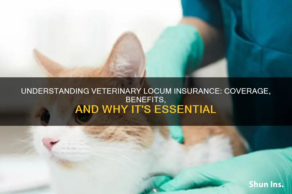 Understanding Veterinary Locum Insurance: Coverage, Benefits, And Why ...