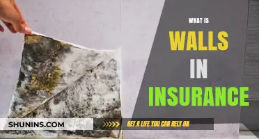 Understanding Bailee Definition And Role In Insurance Policies ...