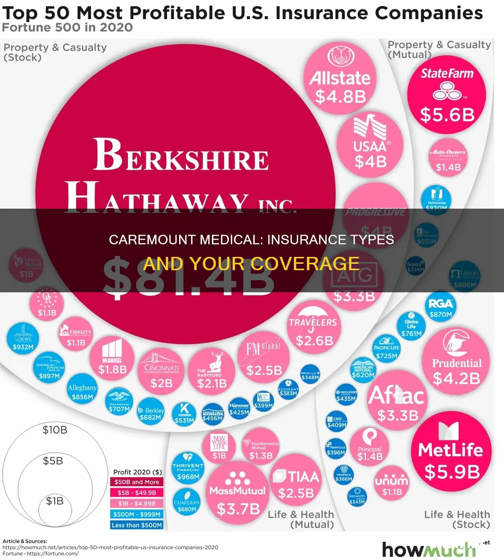 Caremount Medical: Insurance Types And Your Coverage | ShunIns