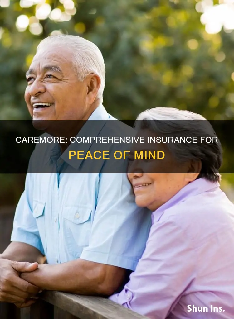 Caremore: Comprehensive Insurance For Peace Of Mind | ShunIns