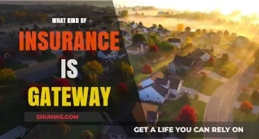Dmba Insurance: What You Need To Know | ShunIns