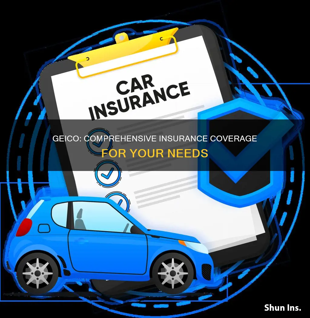 Geico: Comprehensive Insurance Coverage For Your Needs | ShunIns