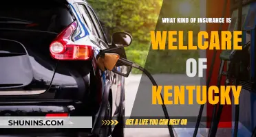 Wellmed: Understanding The Insurer's Unique Health Coverage | ShunIns