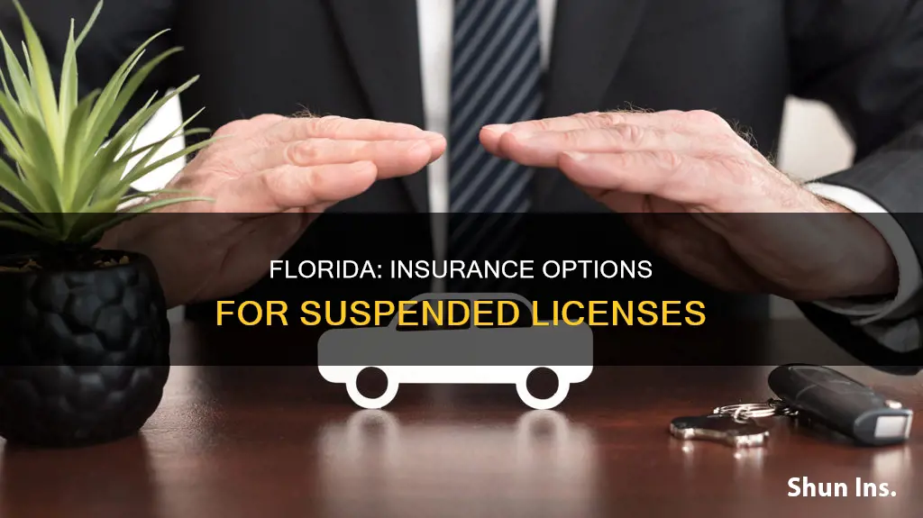 Florida: Insurance Options For Suspended Licenses | ShunIns