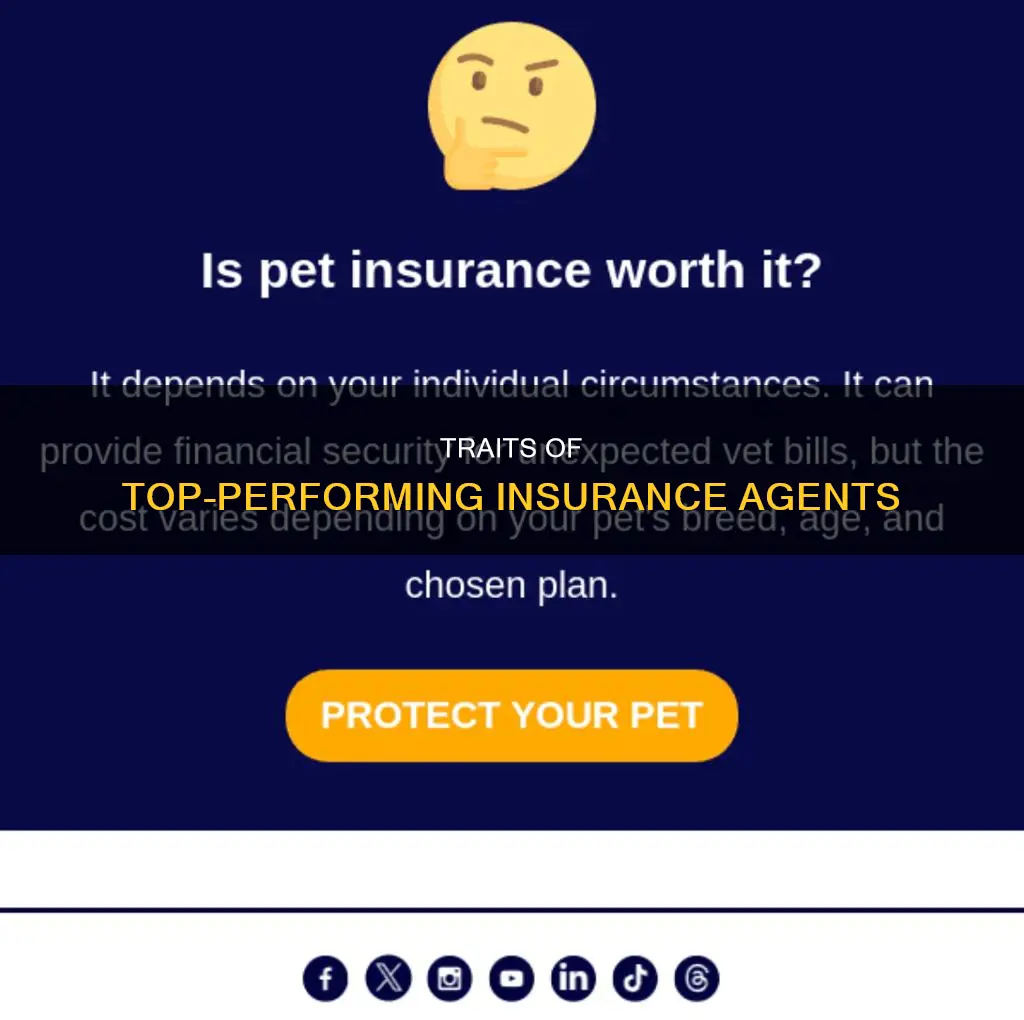 Traits Of Top-Performing Insurance Agents | ShunIns