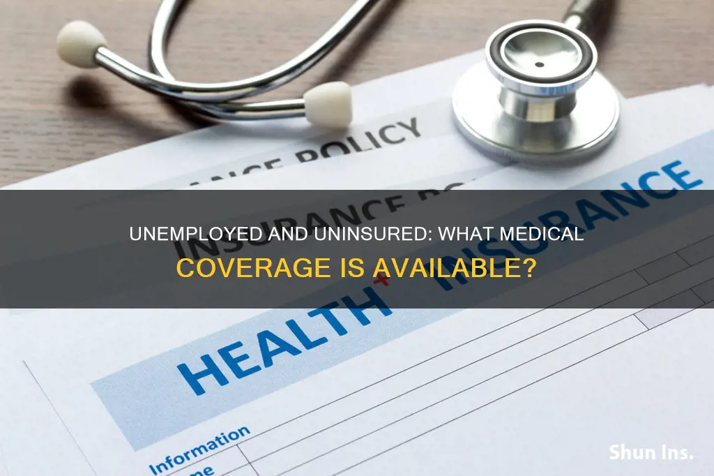 Unemployed And Uninsured: What Medical Coverage Is Available? | ShunIns