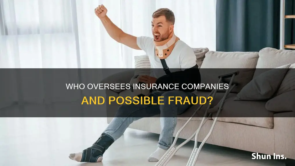 Who Oversees Insurance Companies And Possible Fraud? | ShunIns