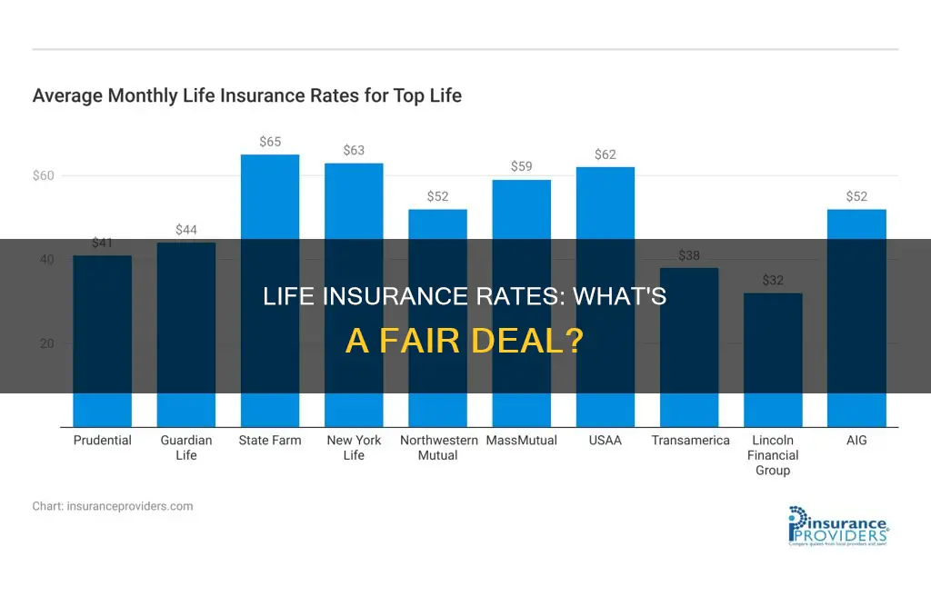 Life Insurance Rates: What's A Fair Deal? | ShunIns