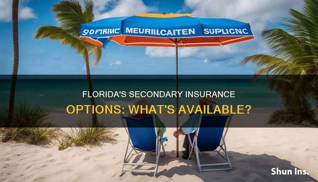 Florida's Secondary Insurance Options: What's Available? | ShunIns