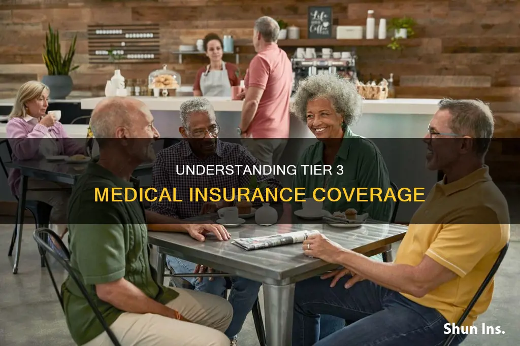 Understanding Tier 3 Medical Insurance Coverage | ShunIns