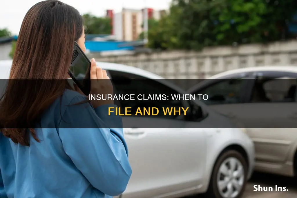 Insurance Claims: When To File And Why | ShunIns
