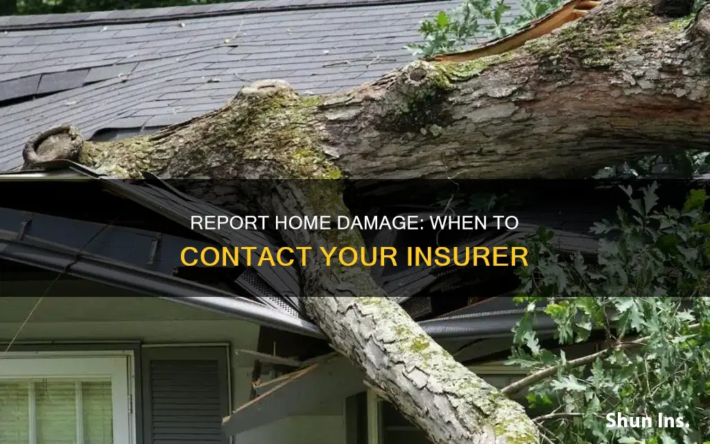 Report Home Damage: When To Contact Your Insurer | ShunIns