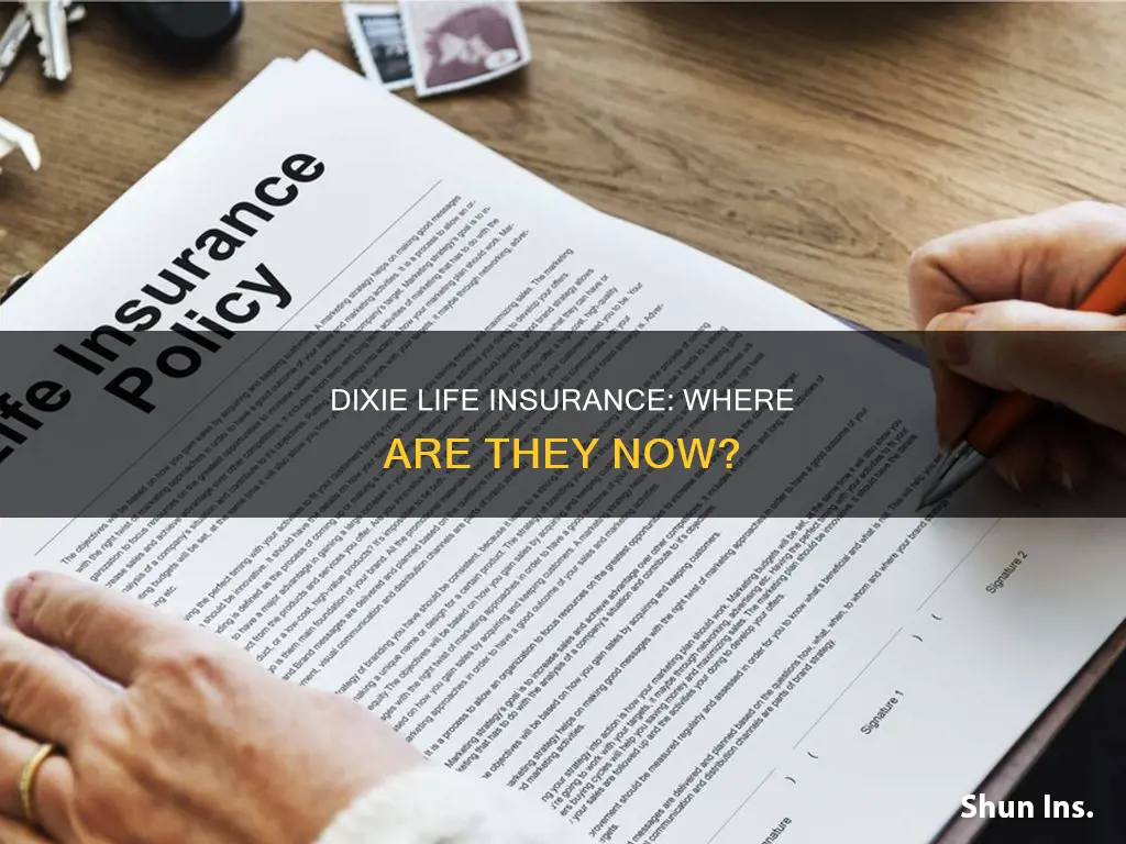 Dixie Life Insurance: Where Are They Now? | ShunIns