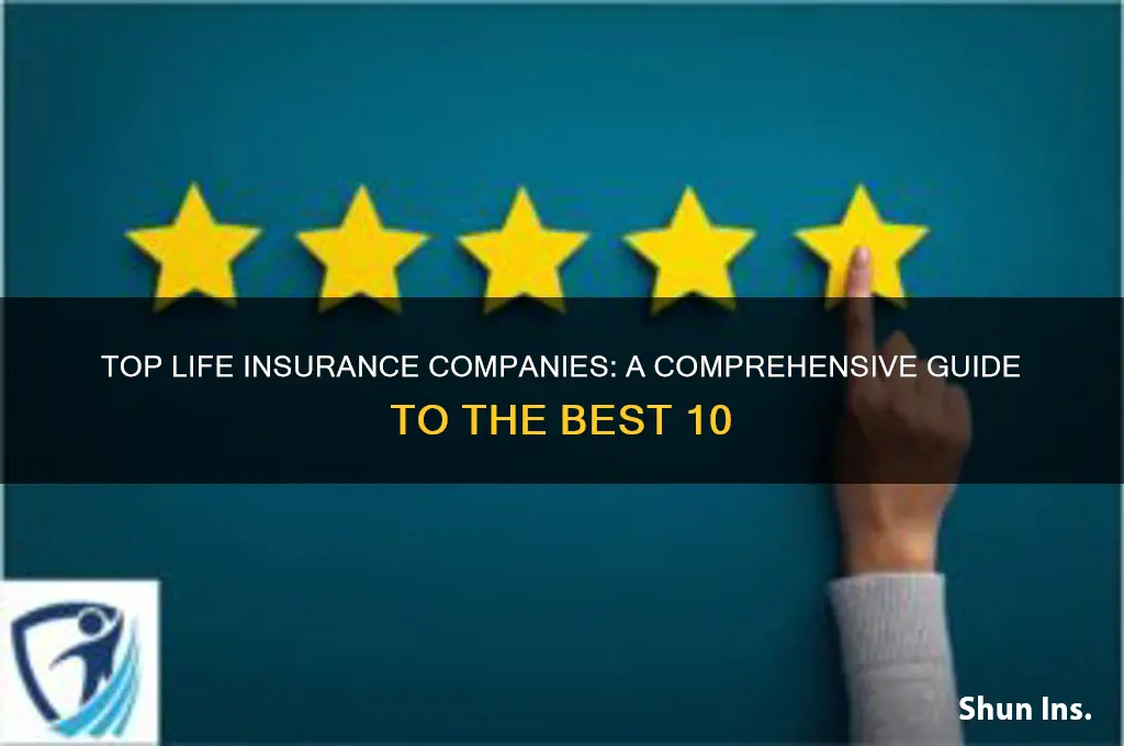 Top Life Insurance Companies: A Comprehensive Guide To The Best 10 ...