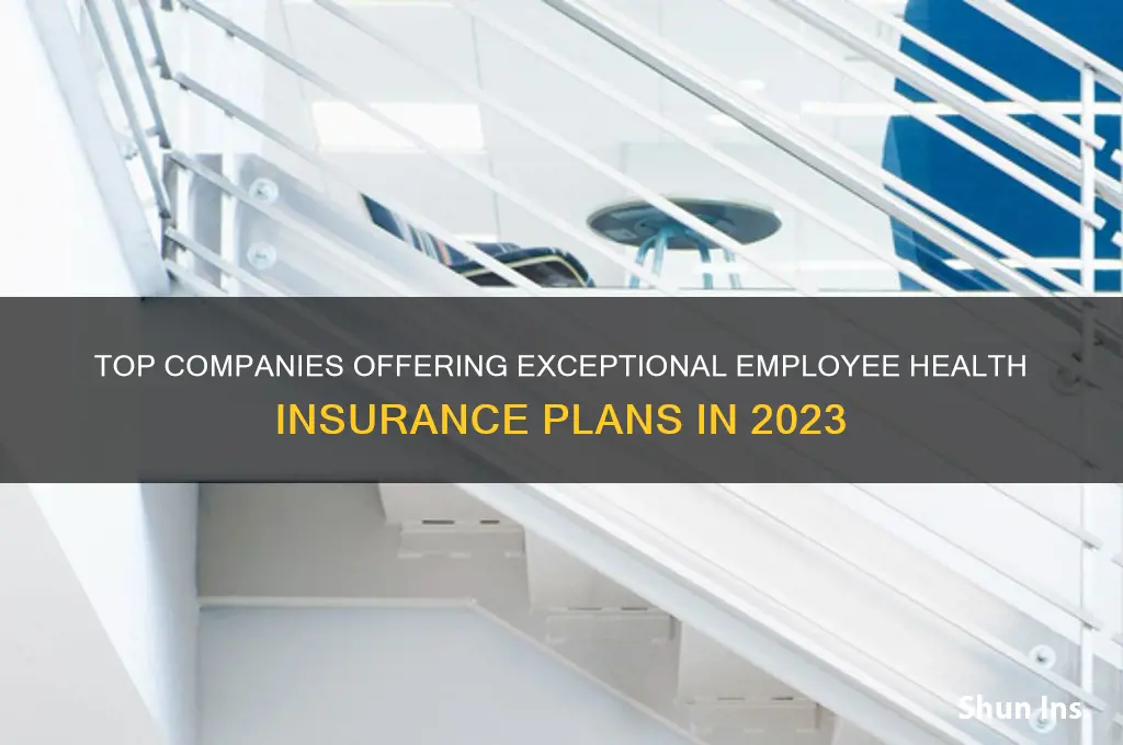 Top Companies Offering Exceptional Employee Health Insurance Plans In ...