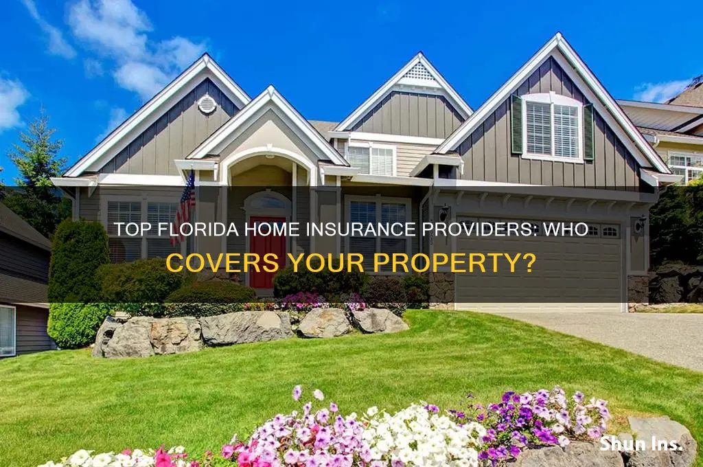 Top Florida Home Insurance Providers: Who Covers Your Property? | ShunIns