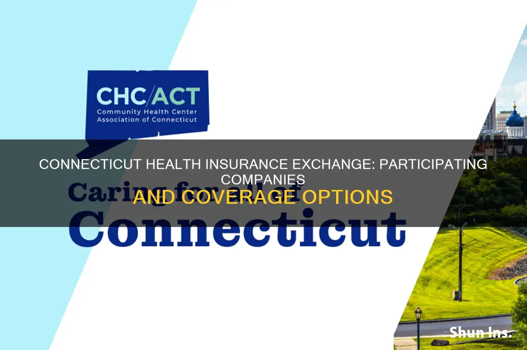 Connecticut Health Insurance Exchange: Participating Companies And ...