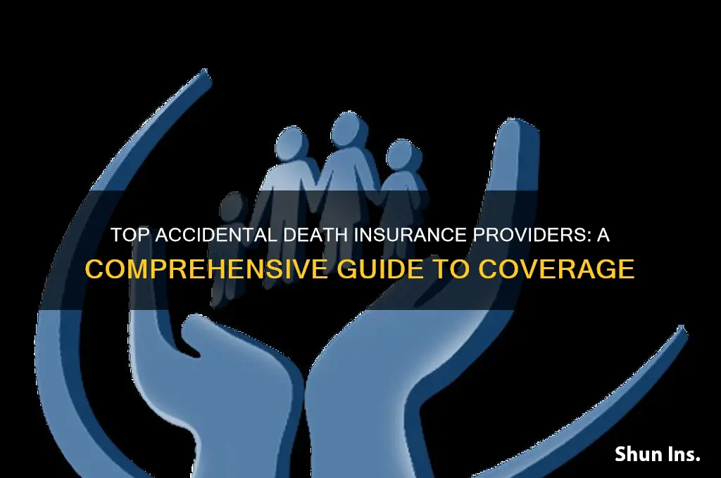 Top Accidental Death Insurance Providers: A Comprehensive Guide To ...