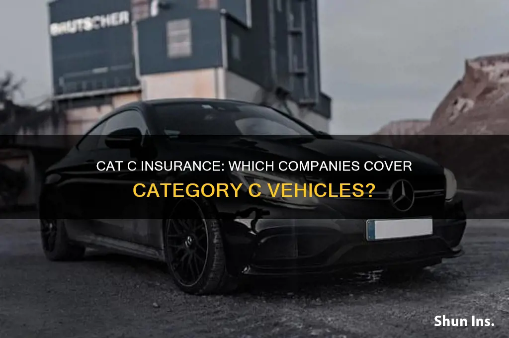 Cat C Insurance: Which Companies Cover Category C Vehicles? | ShunIns