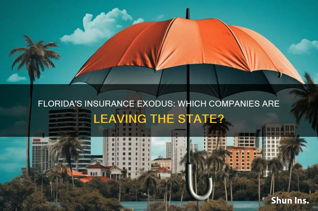 Florida's Insurance Exodus: Which Companies Are Leaving The State ...