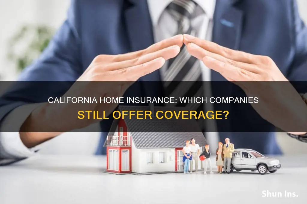 California Home Insurance: Which Companies Still Offer Coverage? | ShunIns
