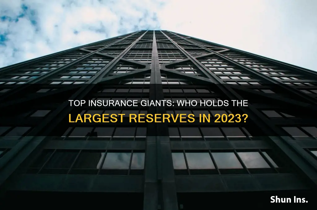 Top Insurance Giants: Who Holds The Largest Reserves In 2023? | ShunIns