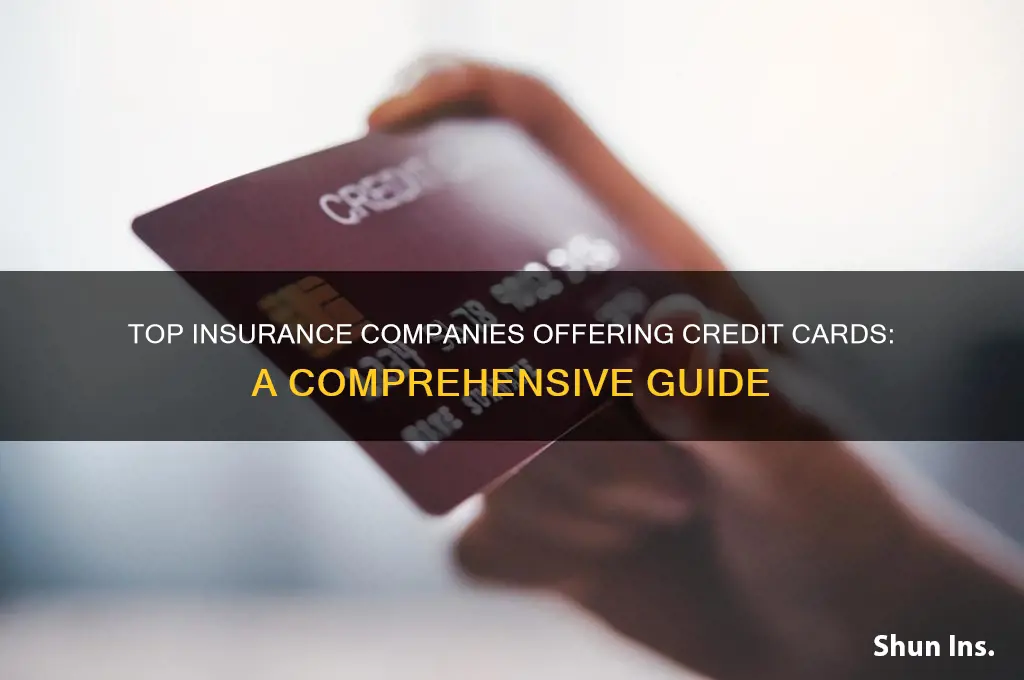 Top Insurance Companies Offering Credit Cards: A Comprehensive Guide ...