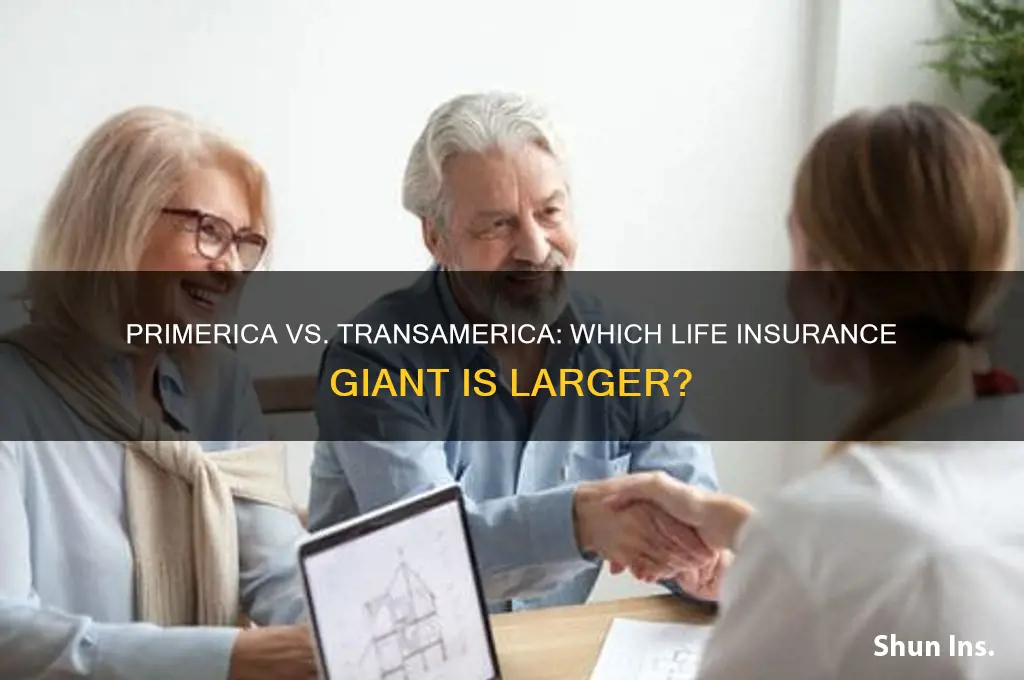 Primerica Vs. Transamerica: Which Life Insurance Giant Is Larger? | ShunIns
