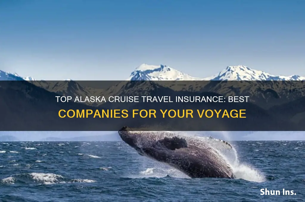 Top Alaska Cruise Travel Insurance: Best Companies For Your Voyage ...