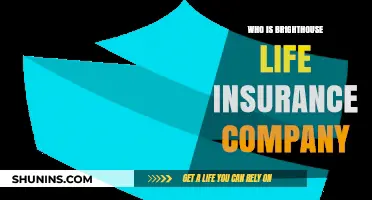 Understanding Consumers County Mutual Insurance Company: A ...