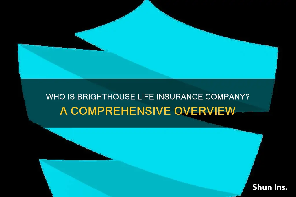 Who Is Brighthouse Life Insurance Company? A Comprehensive Overview ...