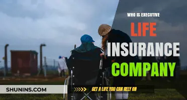 Everlake Life Insurance Company: History, Services, And Customer ...