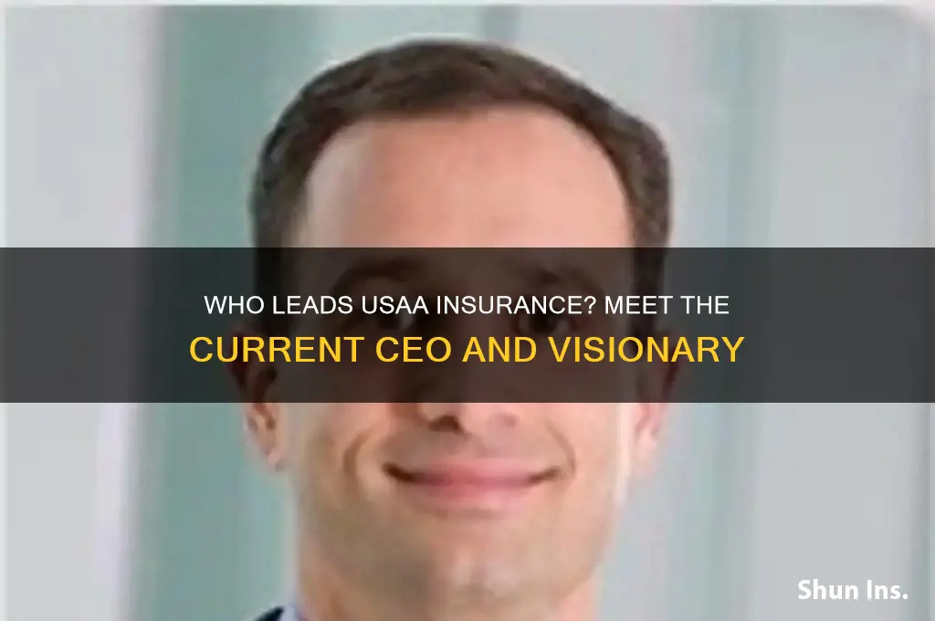 Who Leads Usaa Insurance? Meet The Current Ceo And Visionary | ShunIns